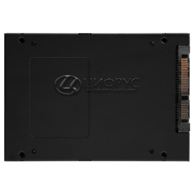 Купить Kingston SKC600/256G в Москве – Kingston SKC600/256G по лучшей ...