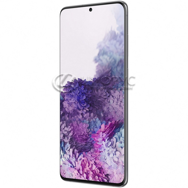 Купить Samsung Galaxy S20+ SM-G985F/DS 8/128Gb LTE Grey (РСТ) в Москве ...